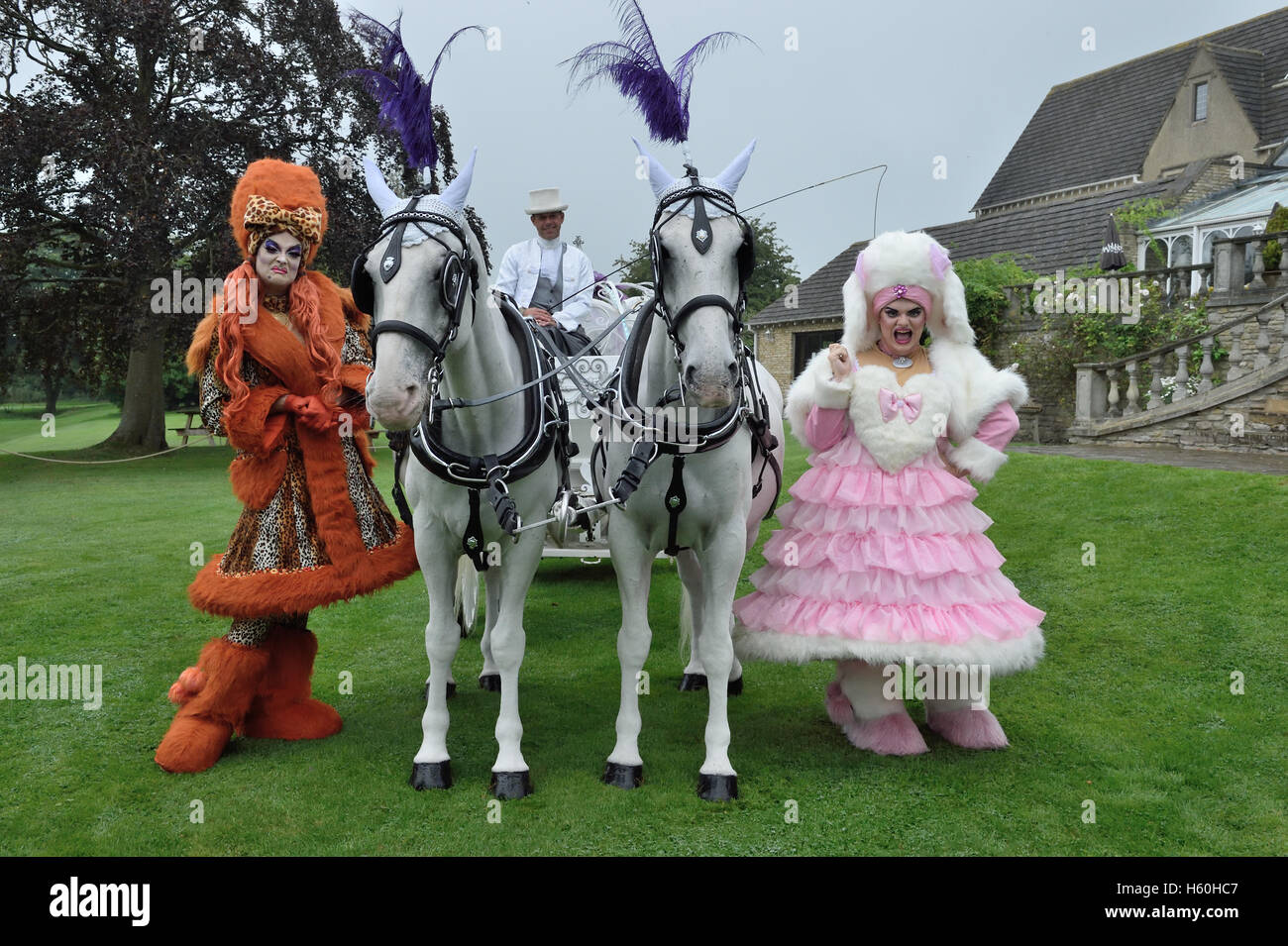Panto horse hi-res stock photography and images - Alamy
