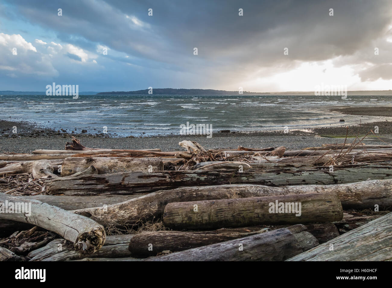 Light breaks through storm clouds onto a Puget Sound shoreline at low ...