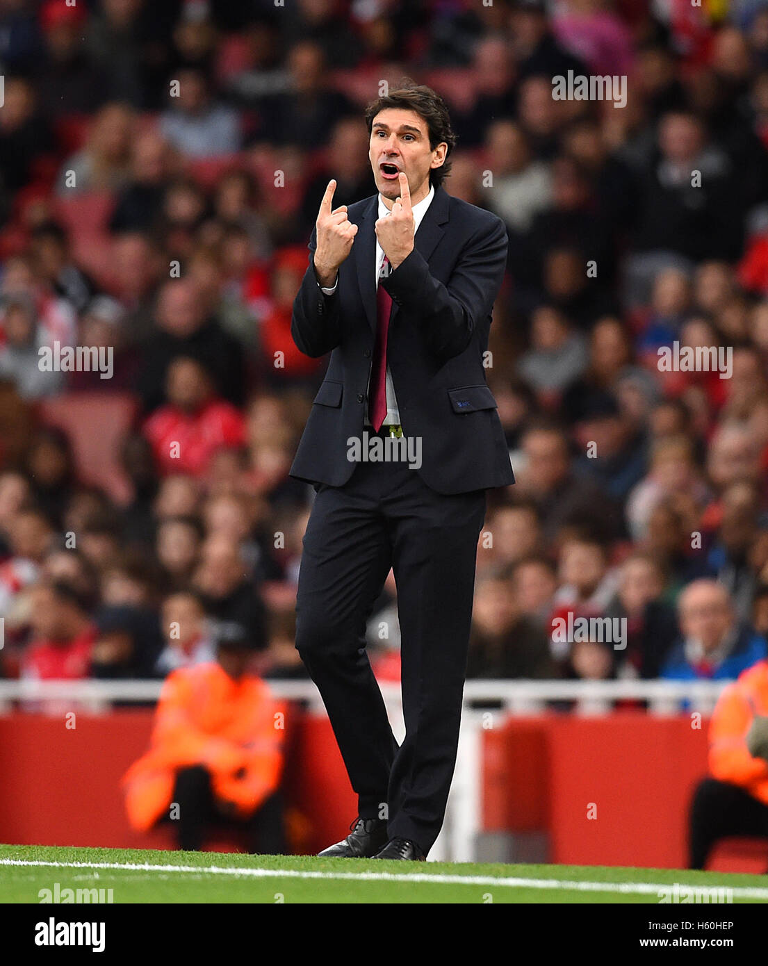 Middlesbrough manager Aitor Karanka during the Premier League match at ...