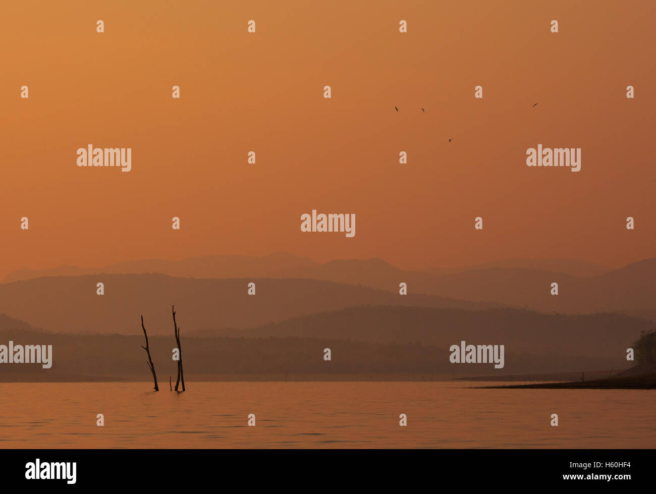 A beautiful morning at Bhadra Backwater (Karnataka India Stock Photo ...