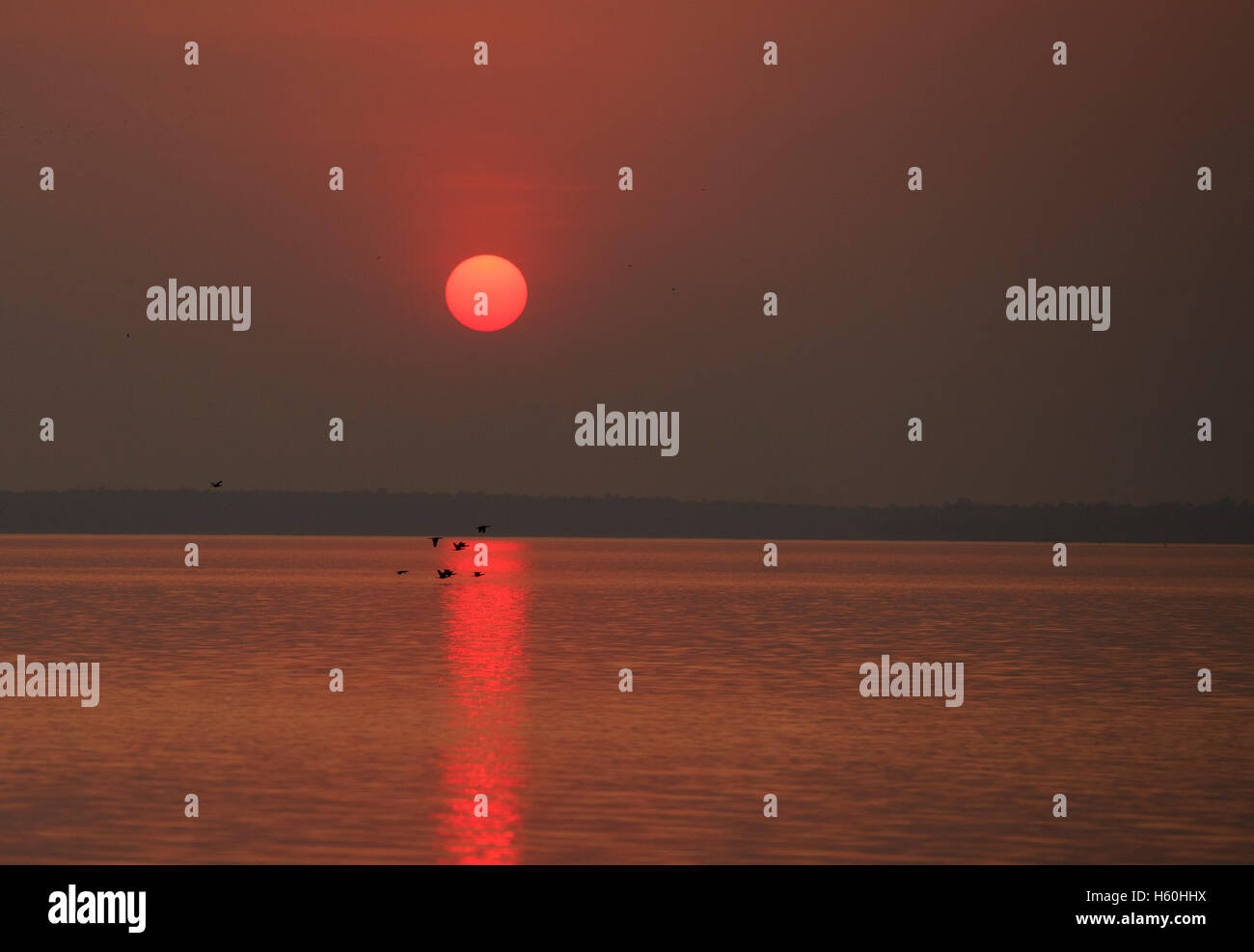 Bhadra backwater hi-res stock photography and images - Alamy