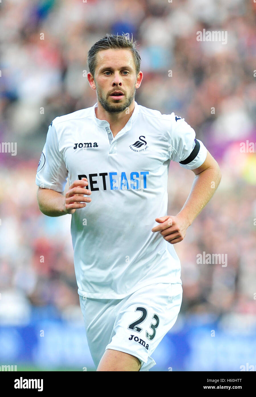 Gylfi sigurðsson hi-res stock photography and images - Alamy