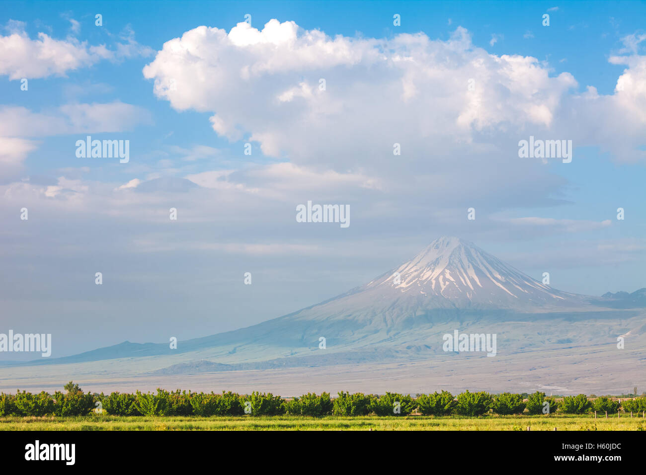Ararat mountain and field Stock Photo - Alamy