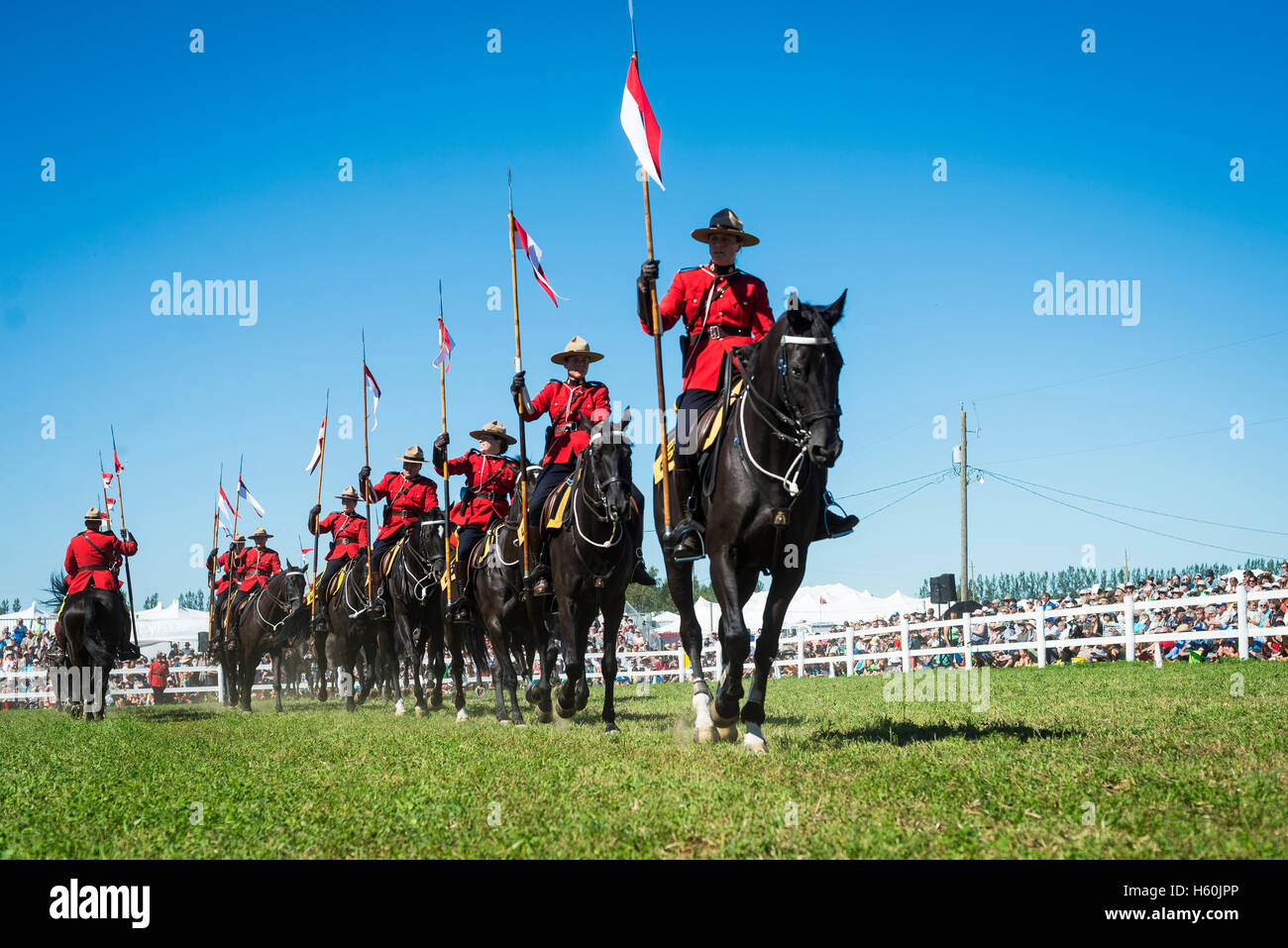Mountie riding a horse hi-res stock photography and images - Alamy