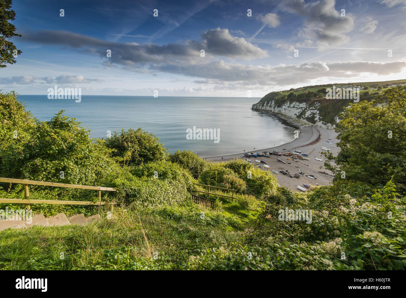 Beer panoramic hi-res stock photography and images - Alamy