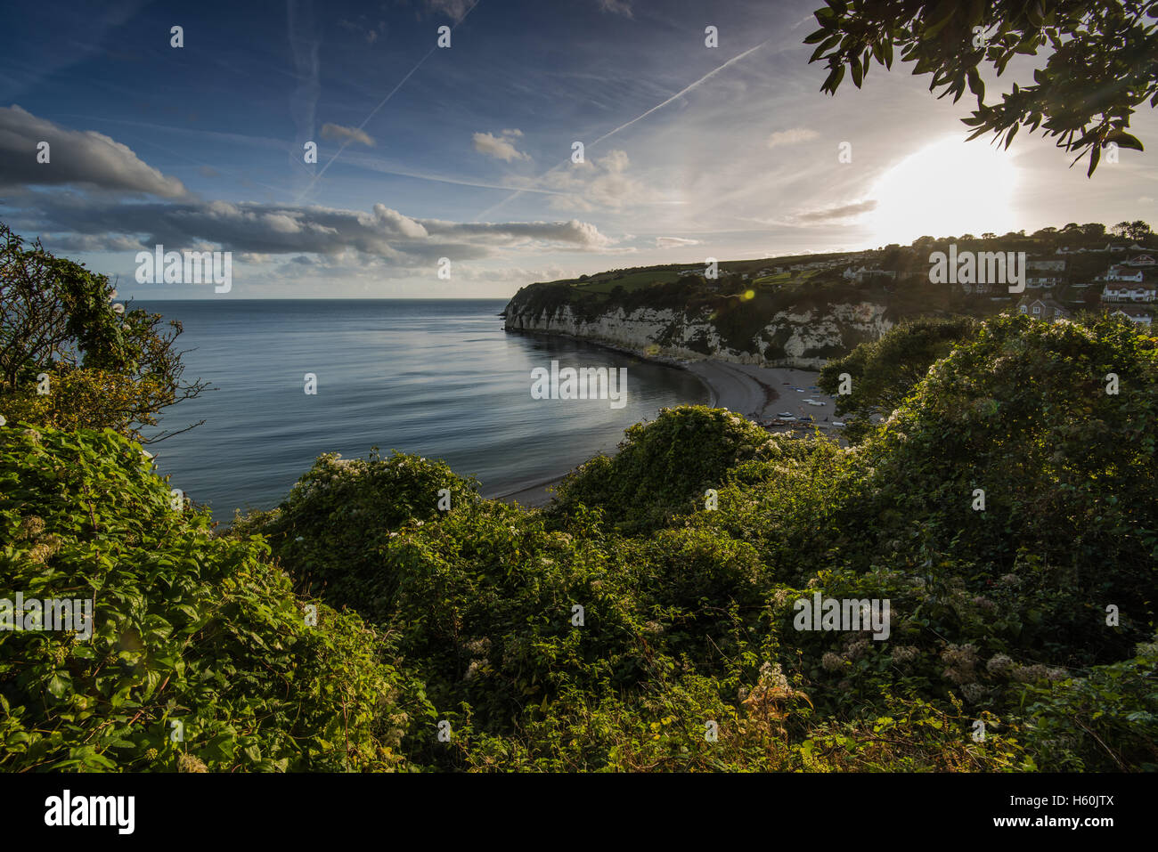 British heritage fisherman village of Beer in Devon,UK Stock Photo - Alamy