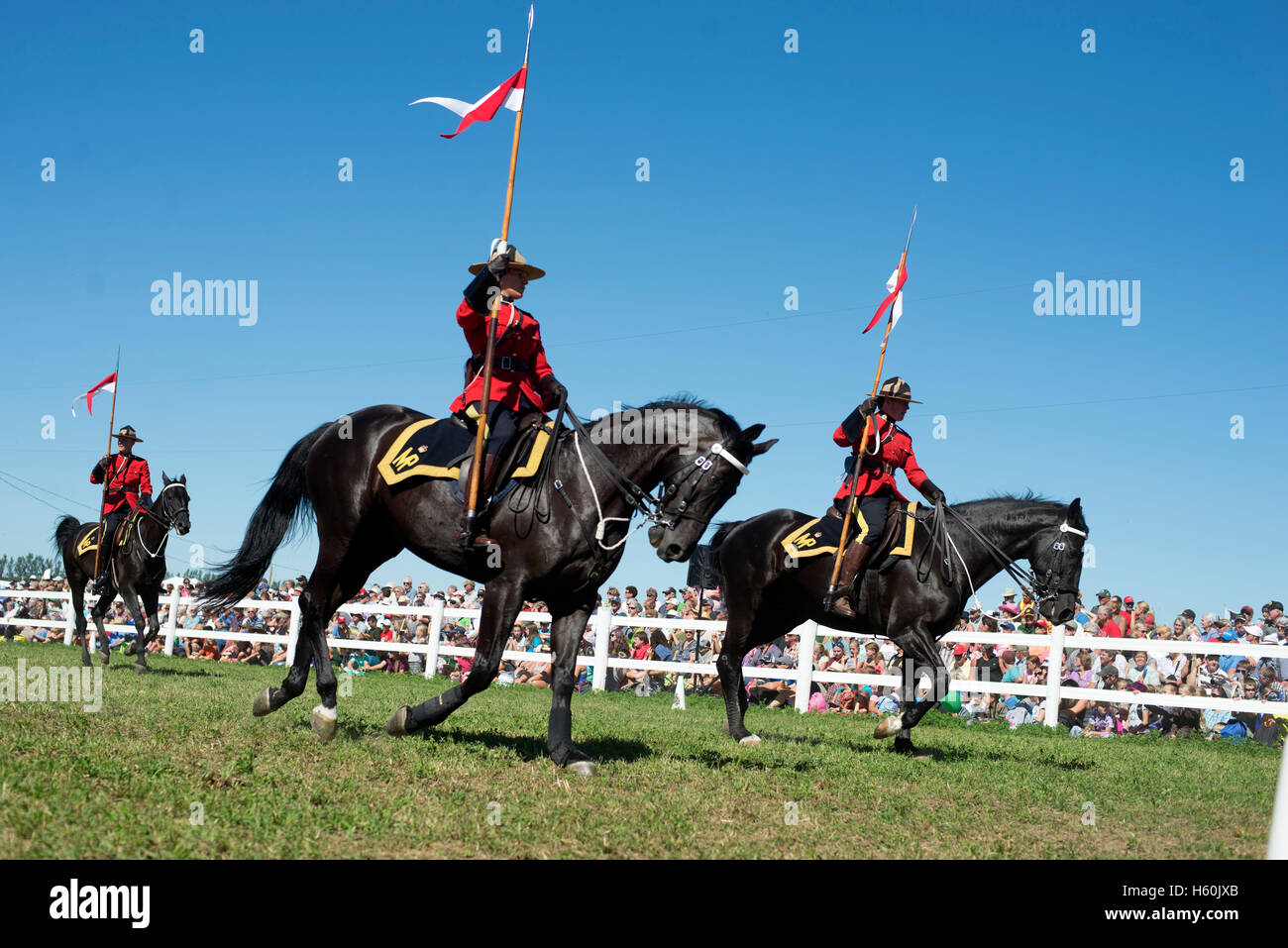 Group of RCMP mounties during a musical ride ceremony Stock Photo - Alamy