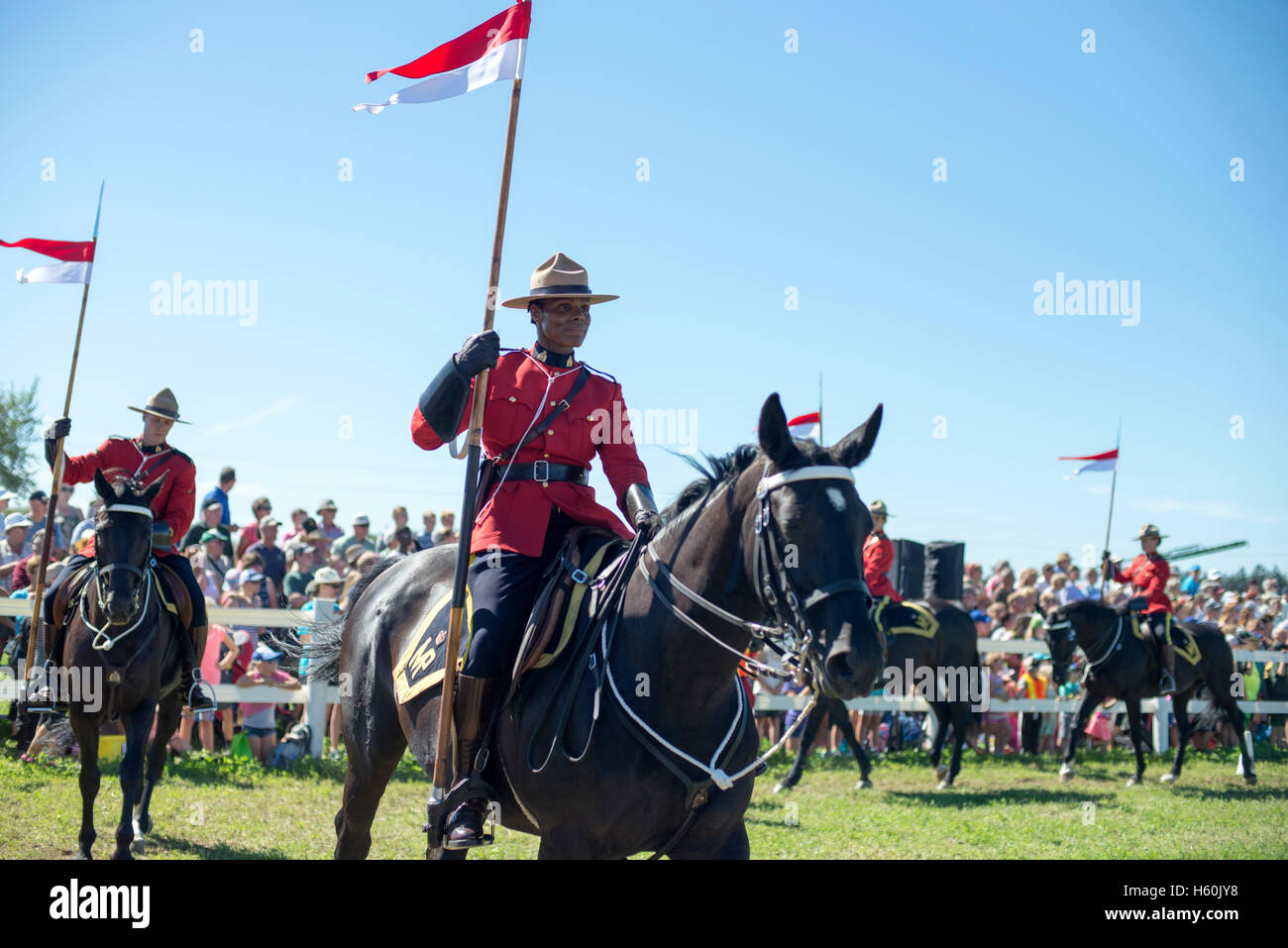 Female RCMP Mountie riding a horse during a musical ride ceremony Stock ...