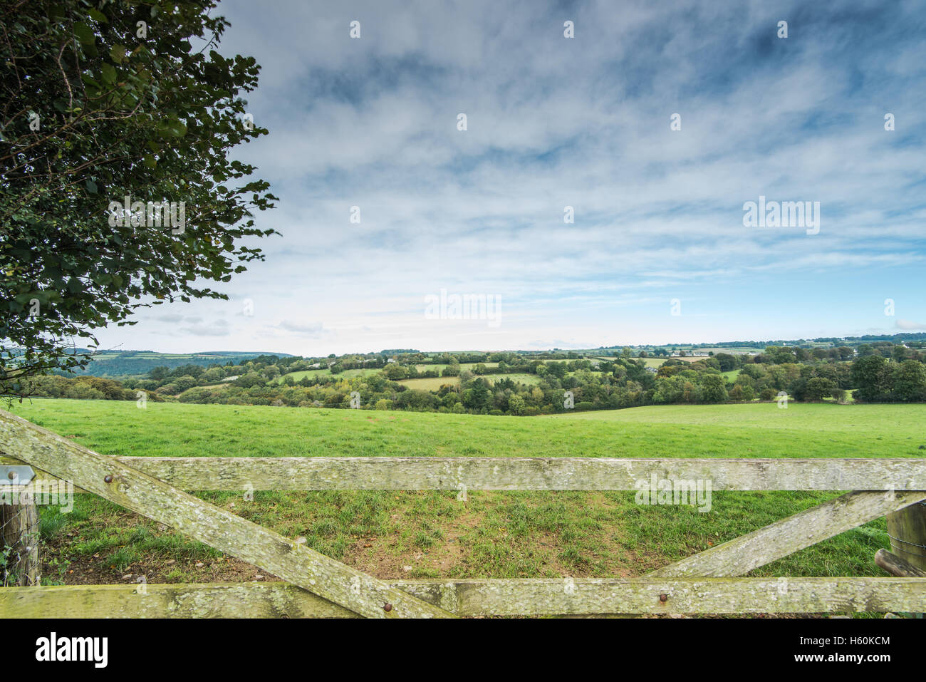 Panoramic view over english countryside heritage in Devon,UK Stock ...