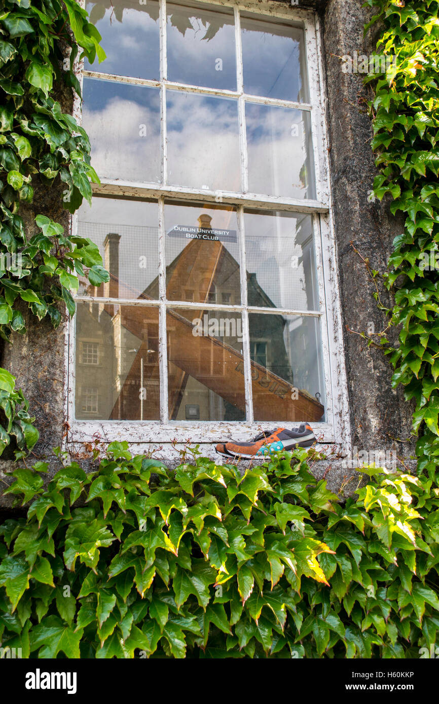 Dublin University Boat Club window, surrounded by ivy and reflecting ...