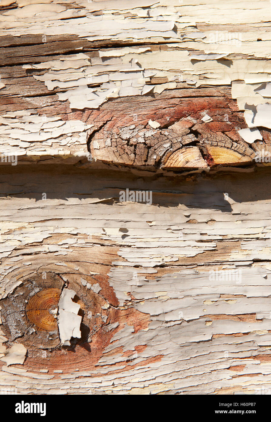 Scaling paint hi-res stock photography and images - Alamy