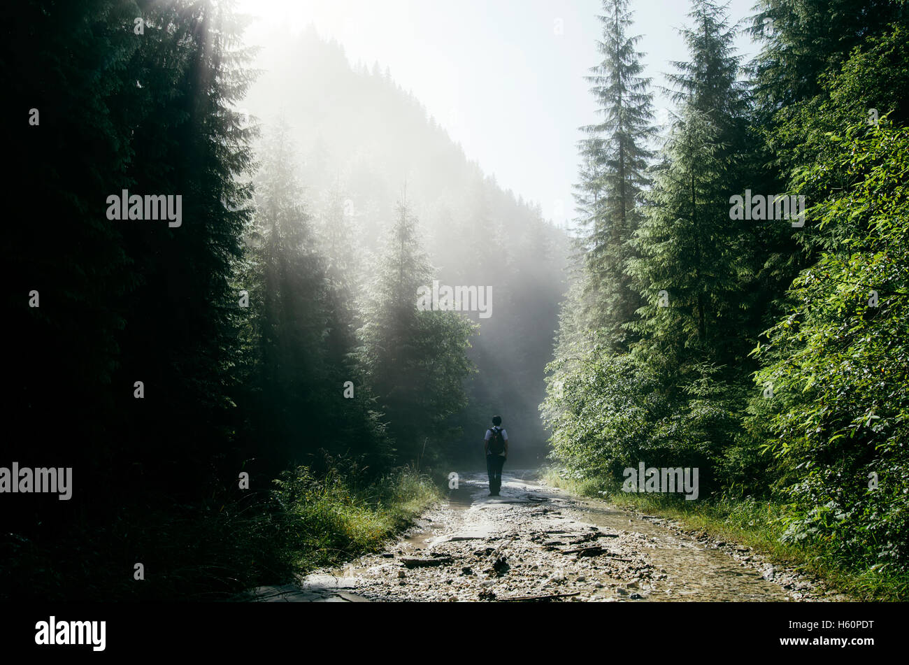 man on mountain path hiking in the morning Stock Photo - Alamy