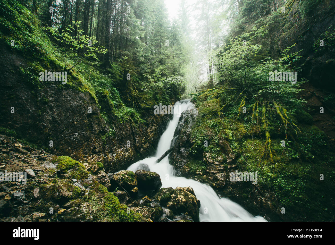natural waterfall on stream in green forest Stock Photo - Alamy