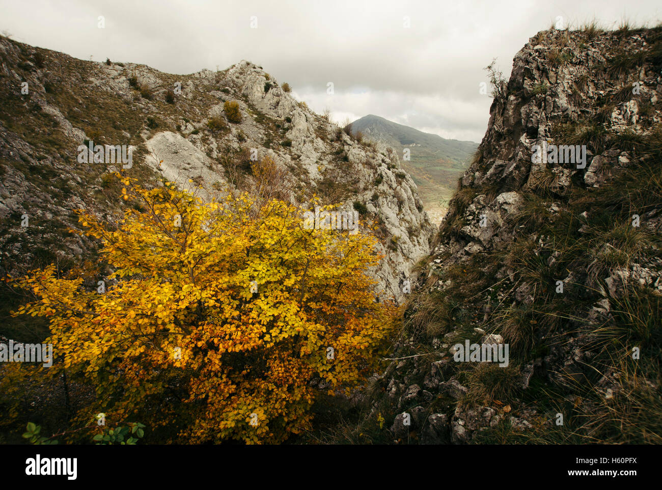 autumn mountain landscape with cliffs Stock Photo - Alamy