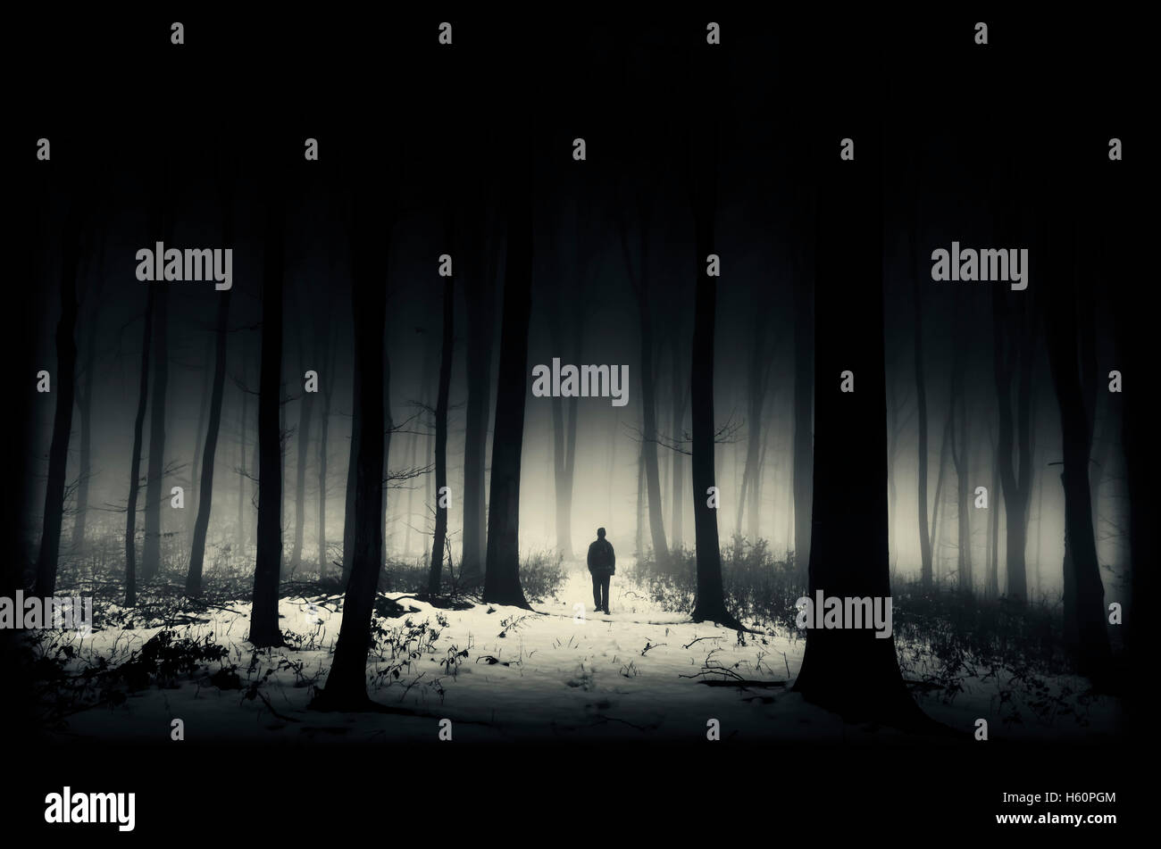 Dark forest hi-res stock photography and images - Alamy