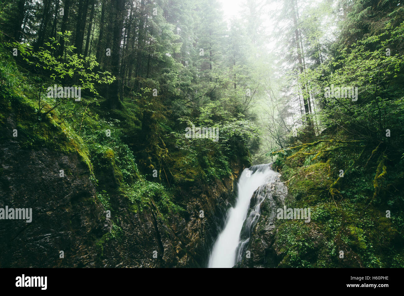 Wilderness landscape. Natural waterfall in mist on remote valley with ...