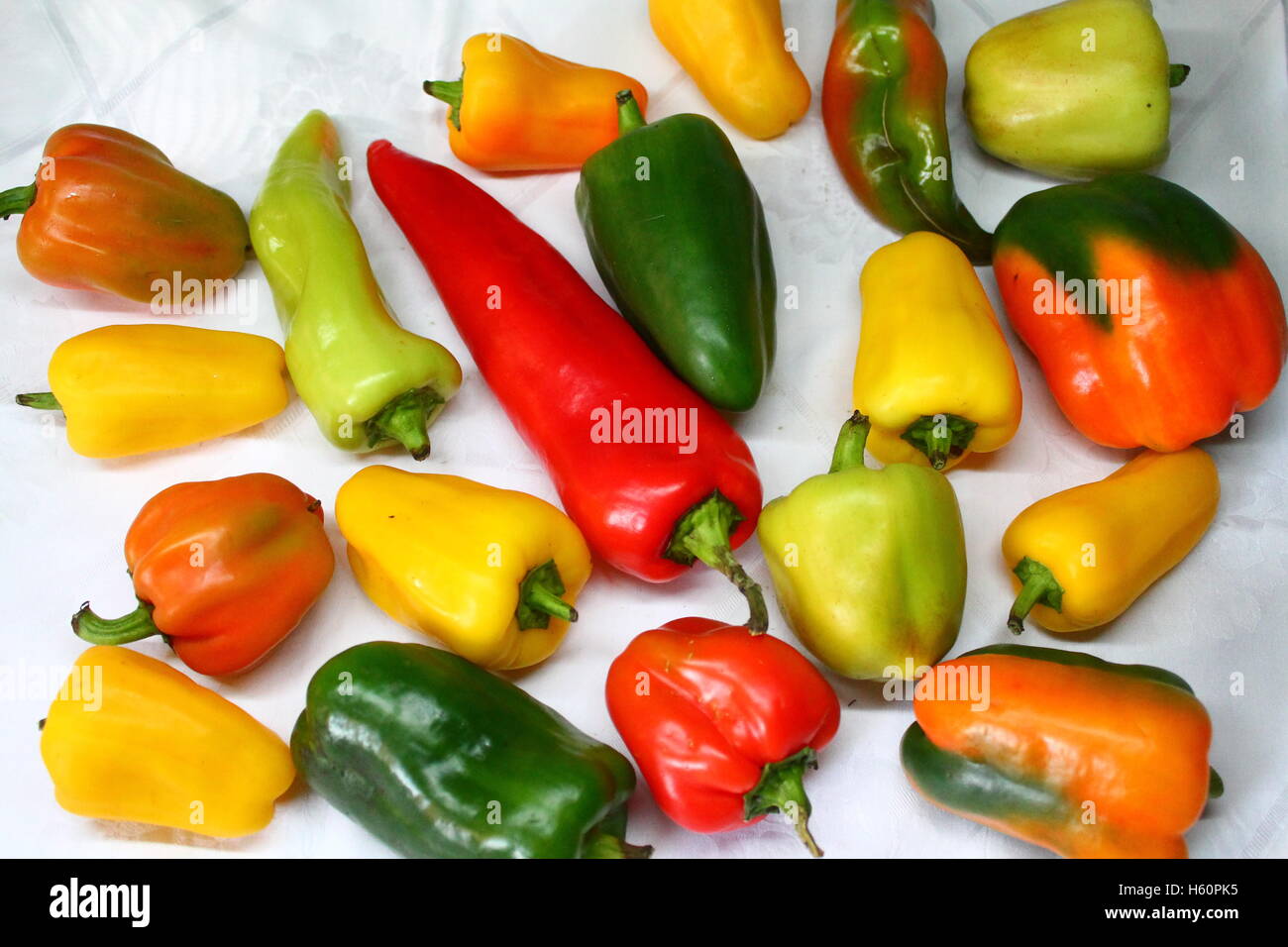 colorful different sorts of peppers bright colors and different tastes ...