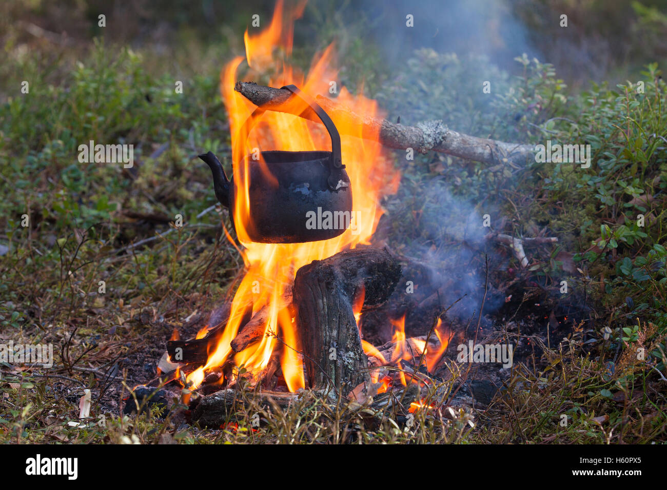 Tin Kettle High Resolution Stock Photography and Images - Alamy