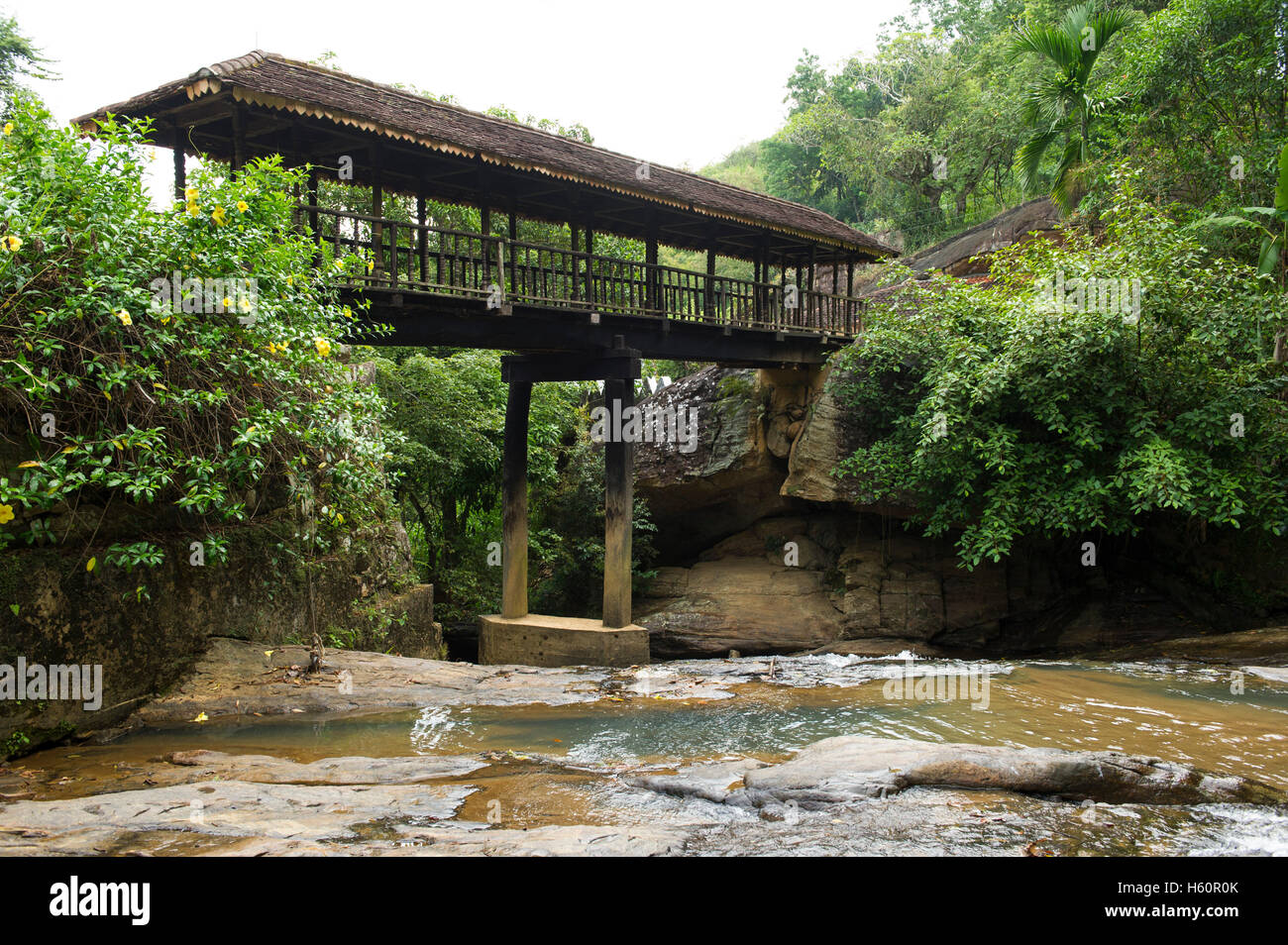 Bogoda wooden bridge, 16th century, Badulla, Sri Lanka Stock Photo - Alamy
