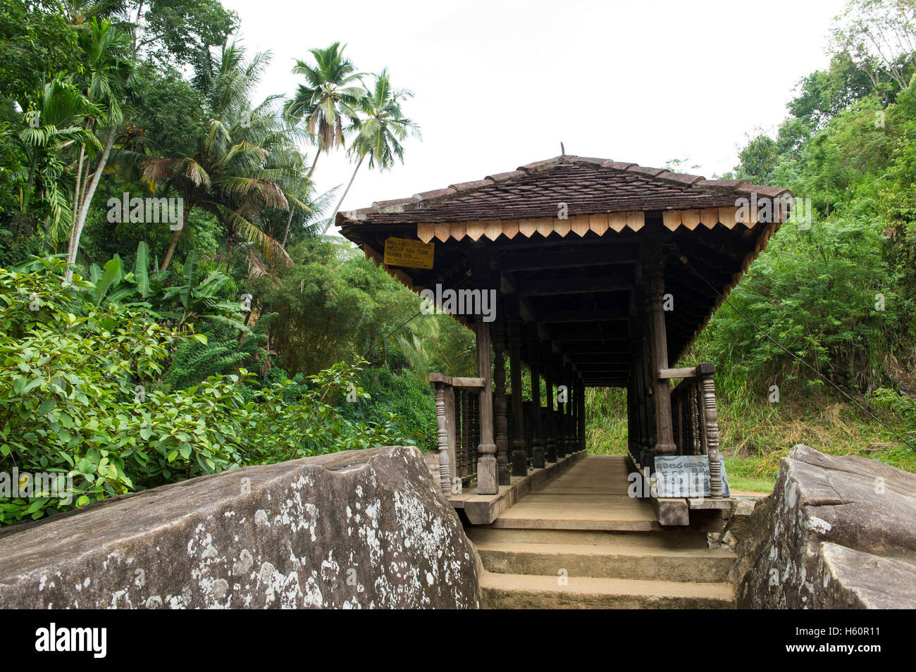 Bogoda wooden bridge, 16th century, Badulla, Sri Lanka Stock Photo - Alamy