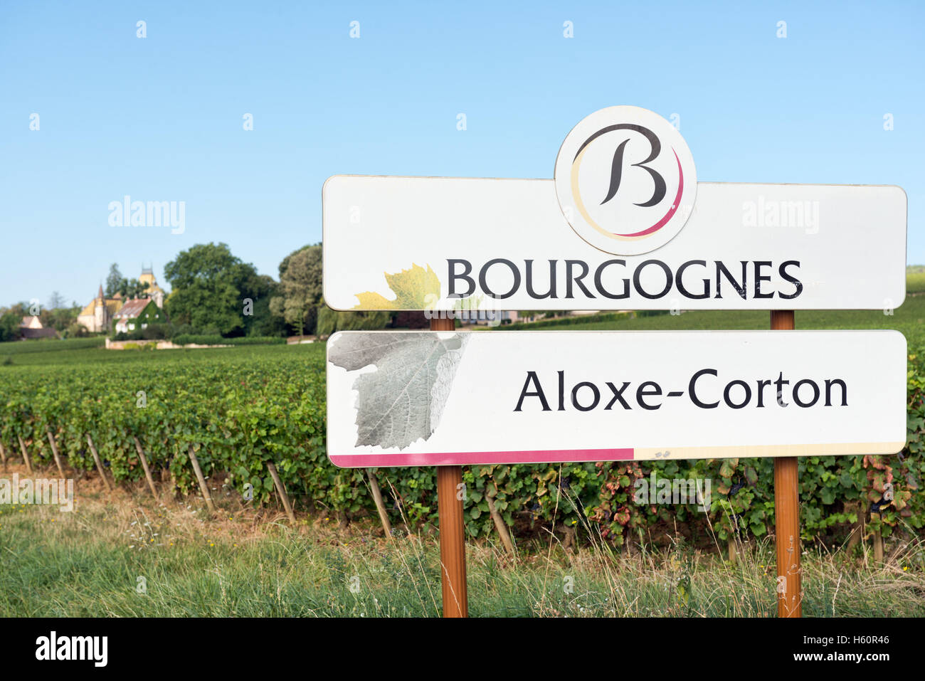 The sign for Aloxe - Corton's vineyard, in the bourgognes region in ...