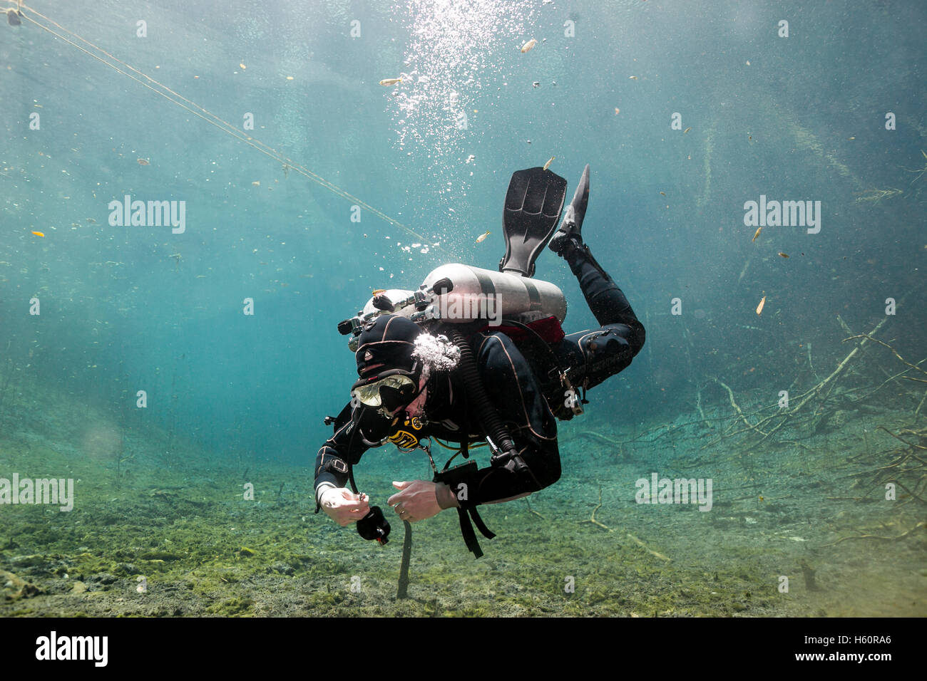 Car Diver High Resolution Stock Photography and Images - Alamy