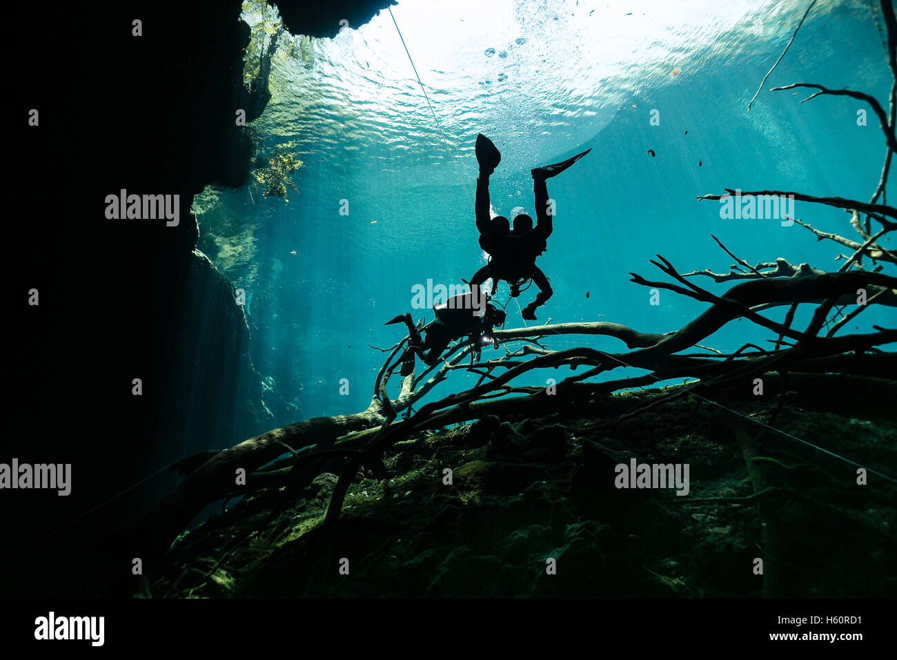 Diver explores a cenote cave with stunning stalactites, clear turquoise ...