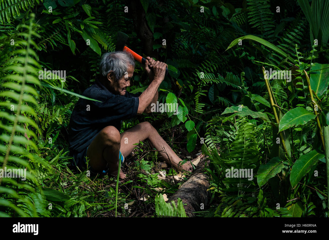 A local farmer prepares fire wood Stock Photo - Alamy