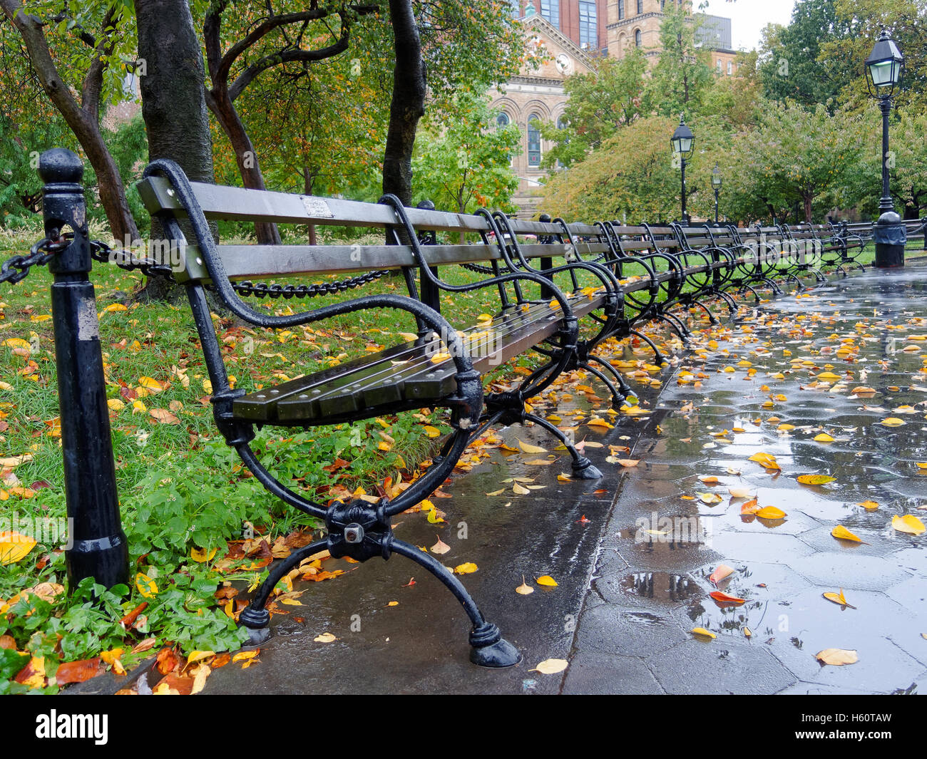 a rainy day in a park at New York Stock Photo - Alamy