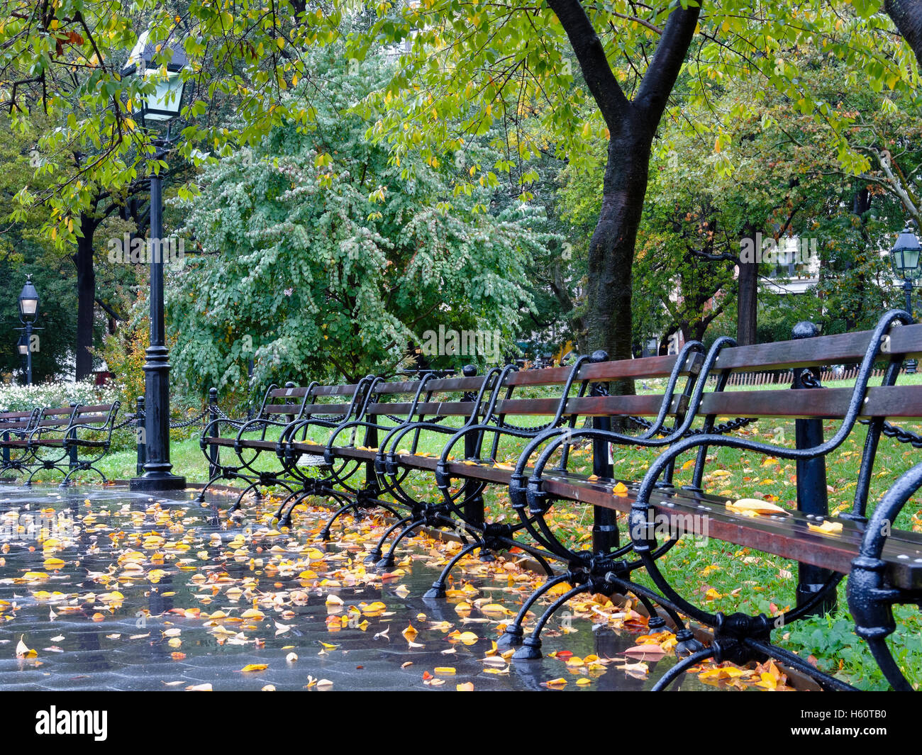 a rainy day in a park at New York Stock Photo - Alamy