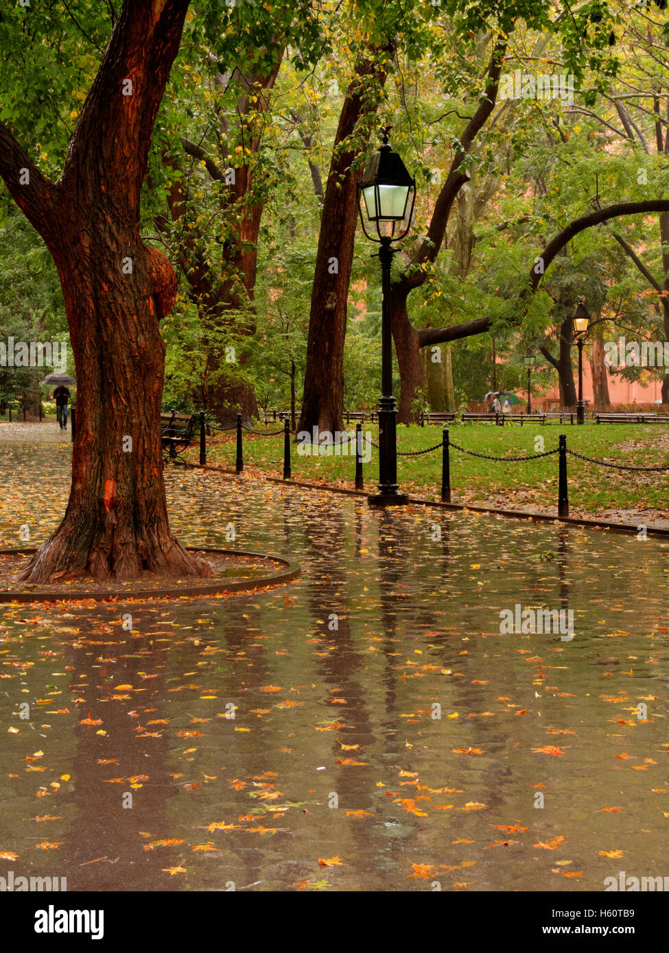 a rainy day in a park at New York Stock Photo - Alamy