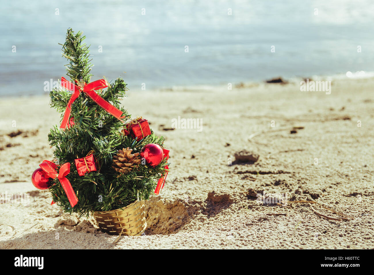 Seaside christmas tree hi-res stock photography and images - Alamy