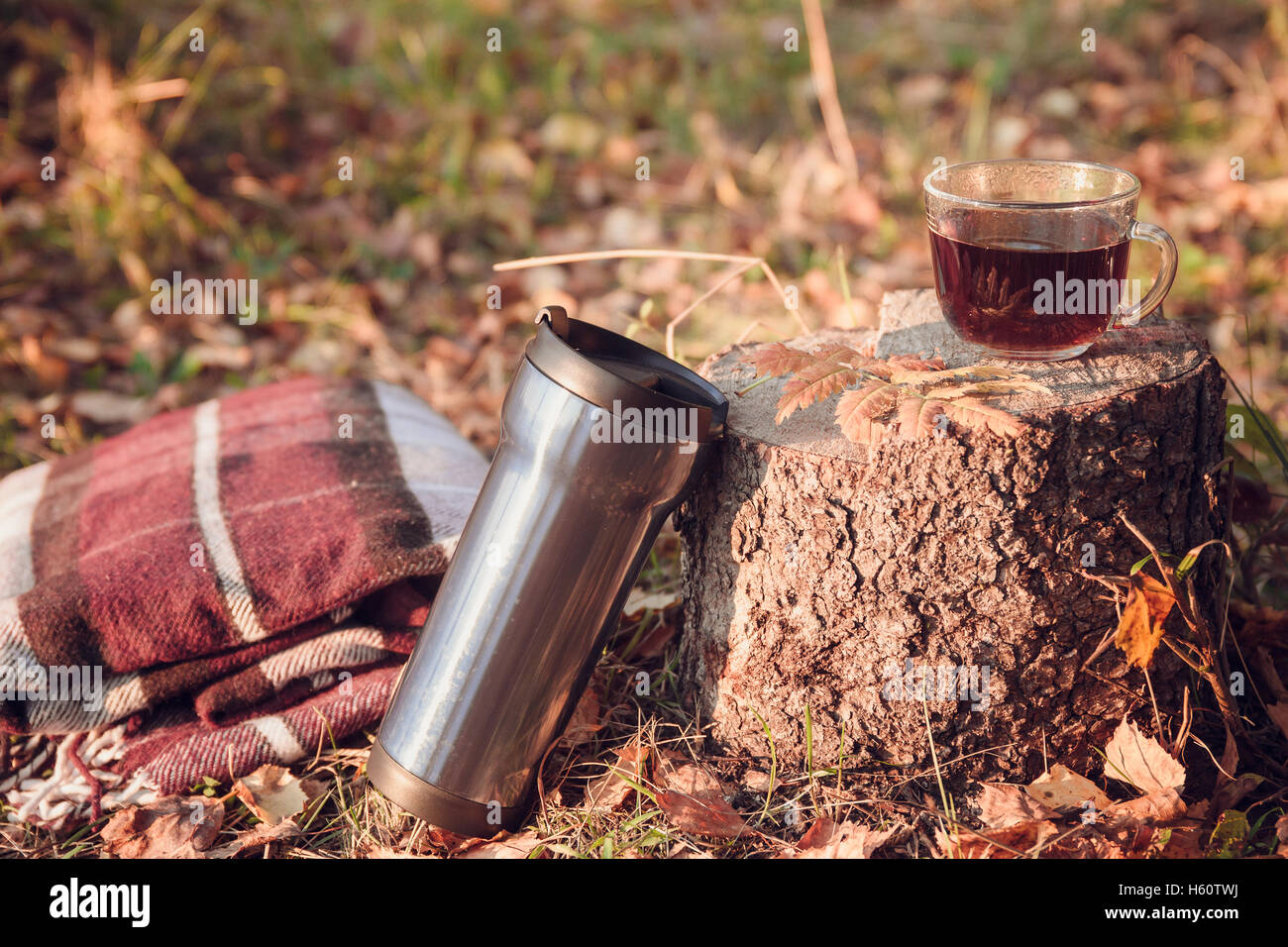 Tea leaves reading hi-res stock photography and images - Alamy