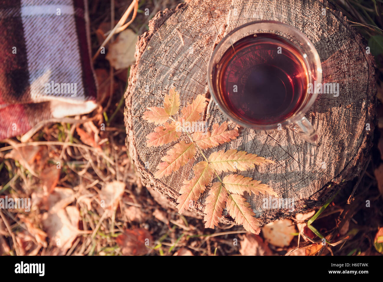 Cup of tea with autumn leaves Stock Photo - Alamy