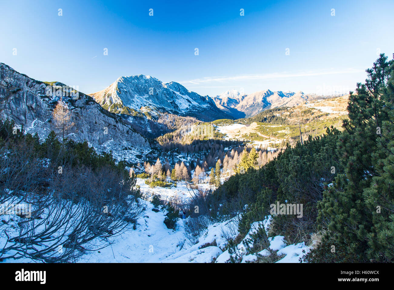 dry winter in the italian alps Stock Photo - Alamy