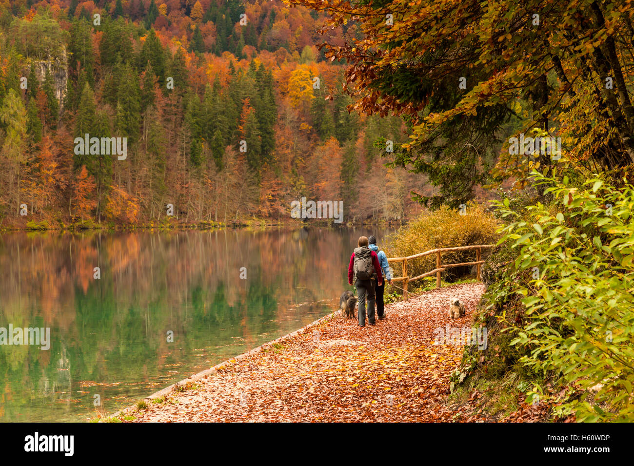 two girls walking in the forest in the italian alps Stock Photo - Alamy