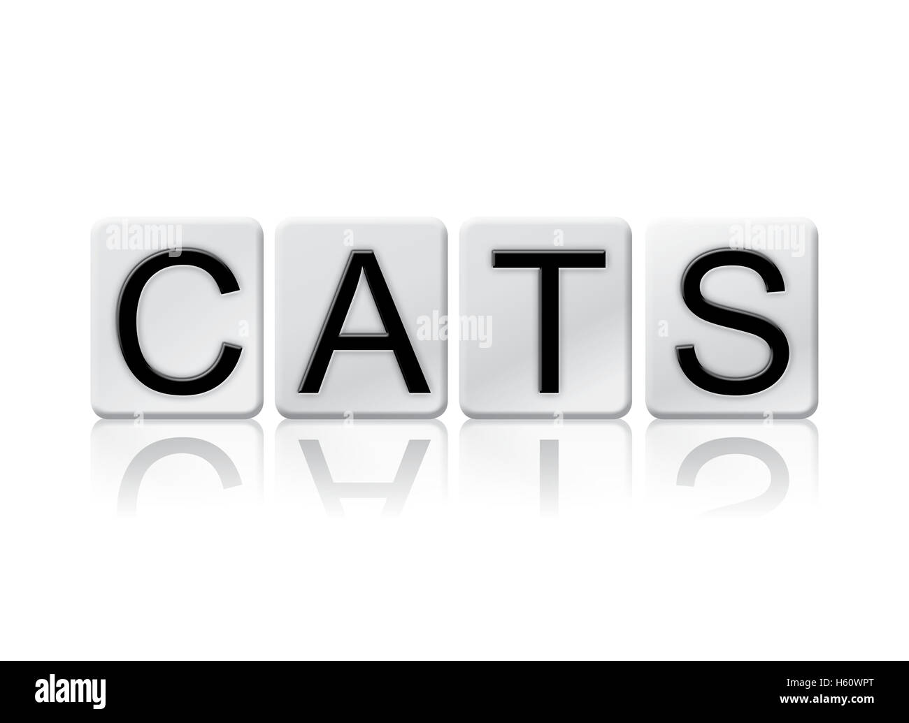 The word "Cats" written in tile letters isolated on a white background ...