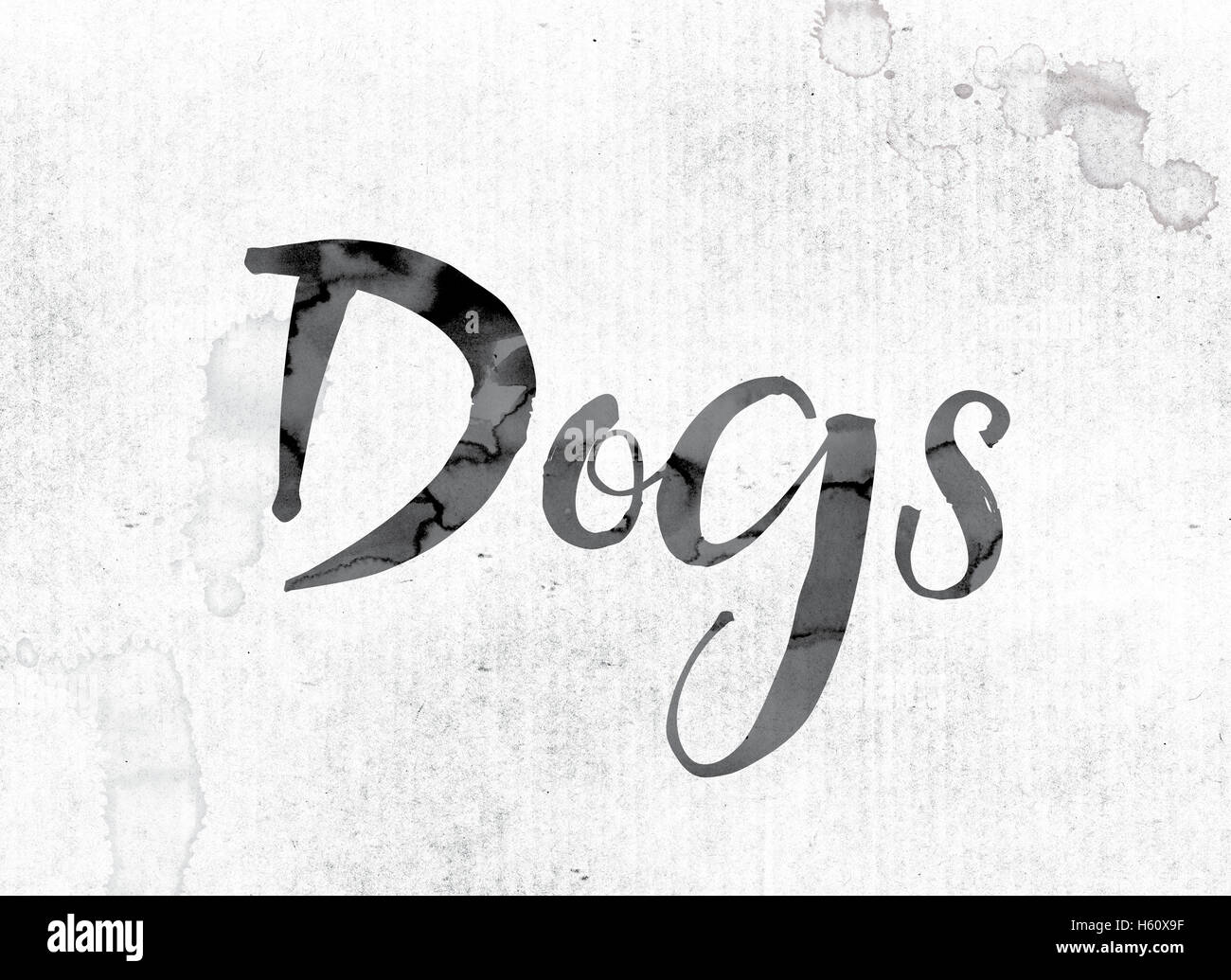 The word "Dogs" concept and theme painted in watercolor ink on a white ...
