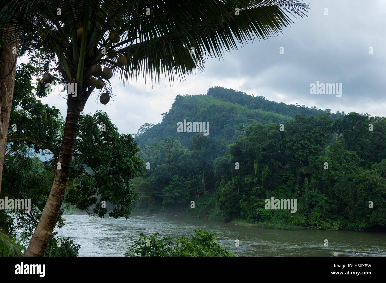 Kelani River High Resolution Stock Photography and Images - Alamy