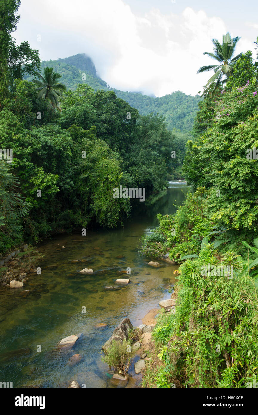The Kelani River, Kitugala, Sri Lanka Stock Photo - Alamy