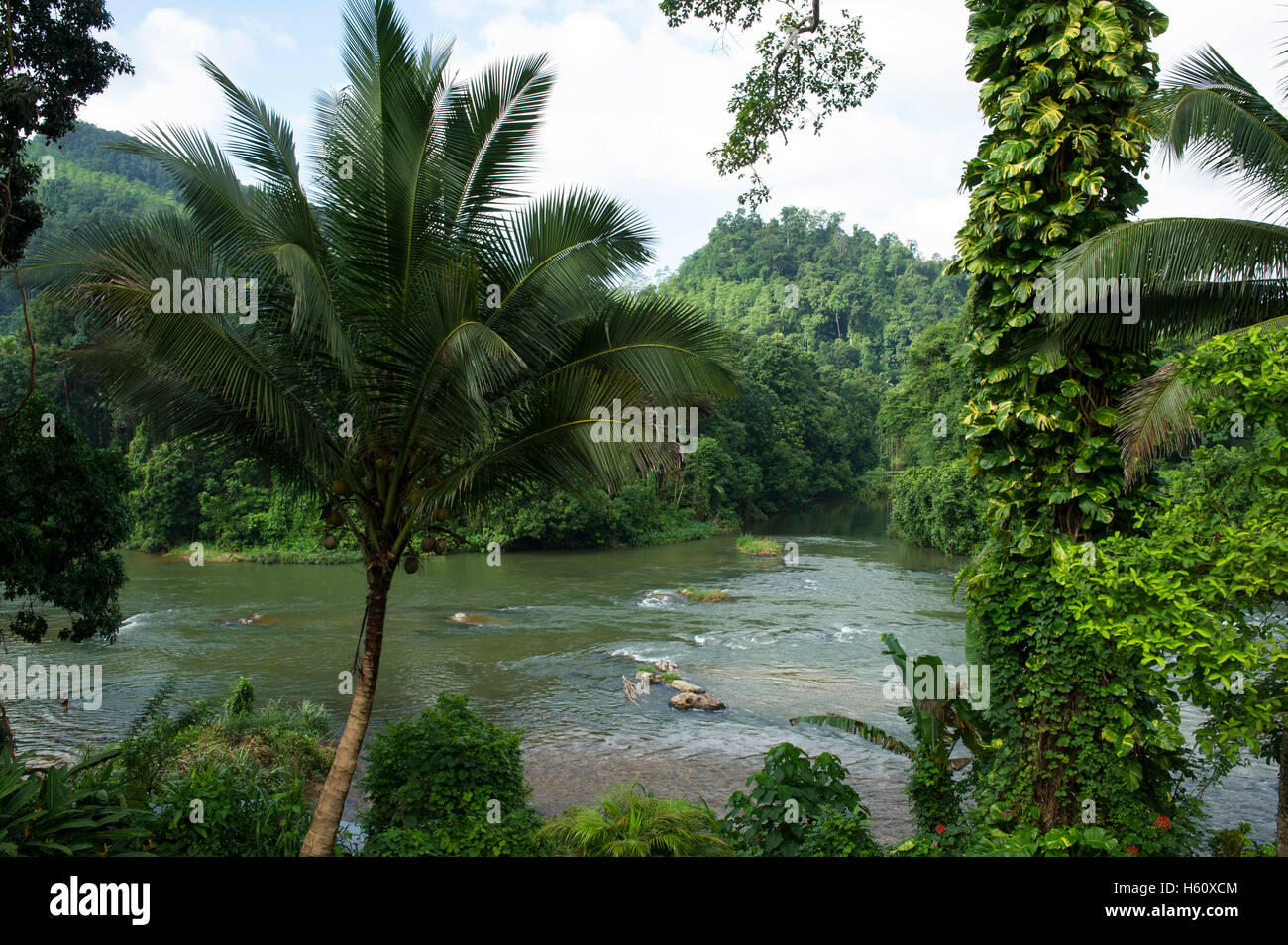 Kelani river hi-res stock photography and images - Alamy