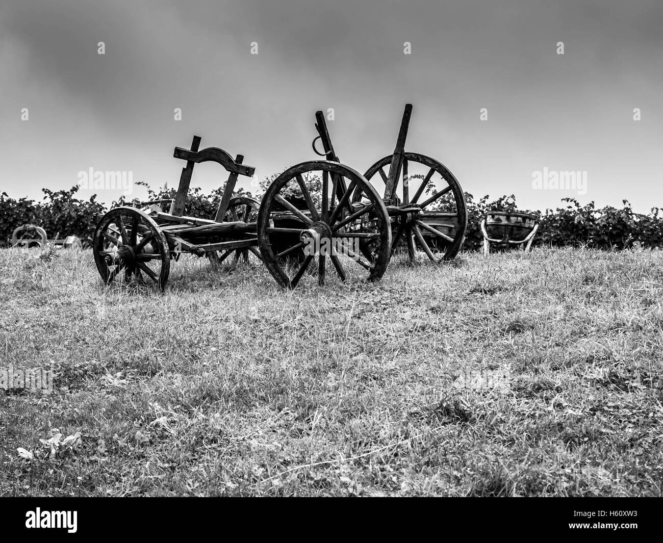 Nature of objects hi-res stock photography and images - Alamy