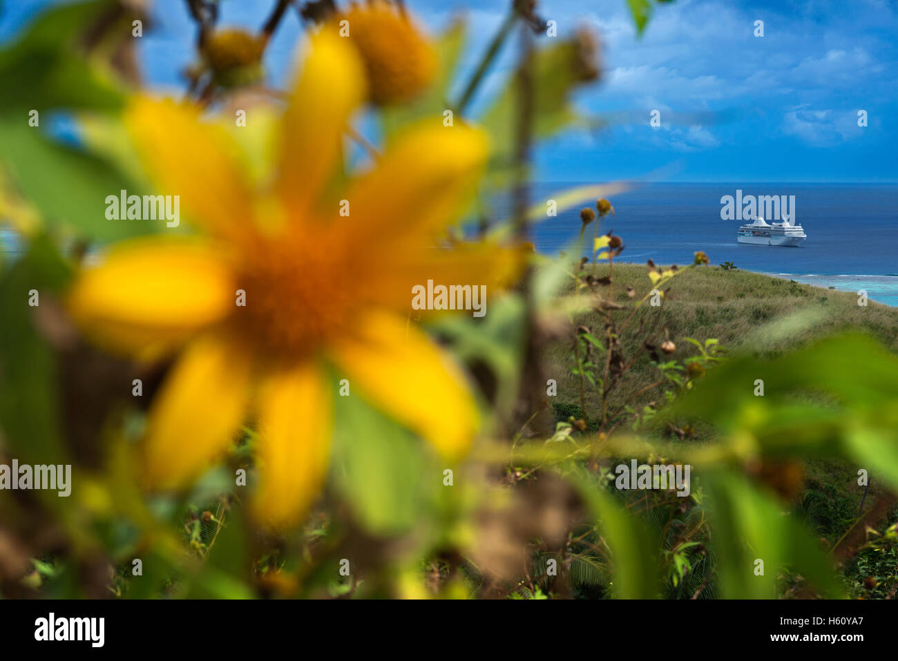 Aitutaki. Cook Island. Polynesia. South Pacific Ocean. Close-up of a ...