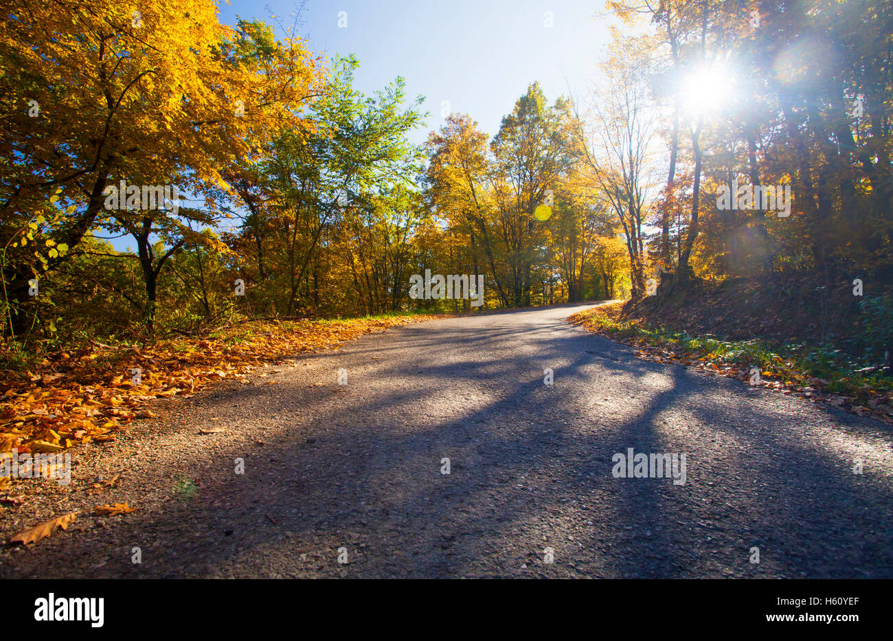Path in the autum park Stock Photo - Alamy