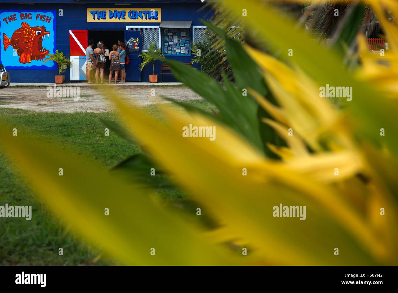 Rarotonga Island. Cook Island. Polynesia. South Pacific Ocean. Diving ...