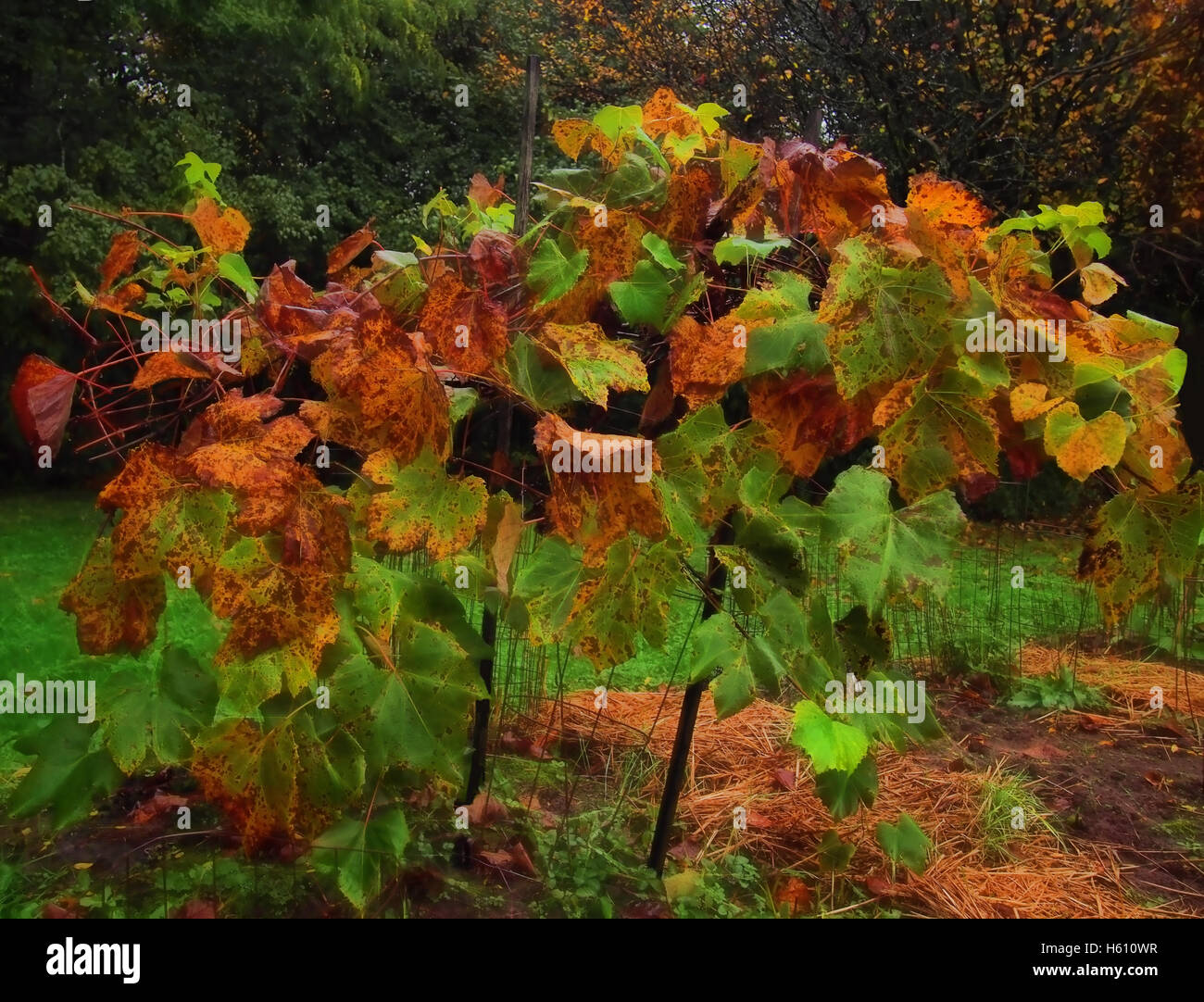 Clammy weather hi-res stock photography and images - Alamy