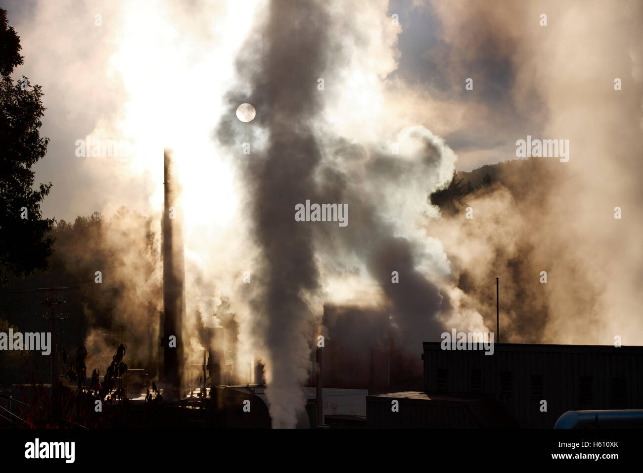 Paper Mill High Resolution Stock Photography and Images - Alamy