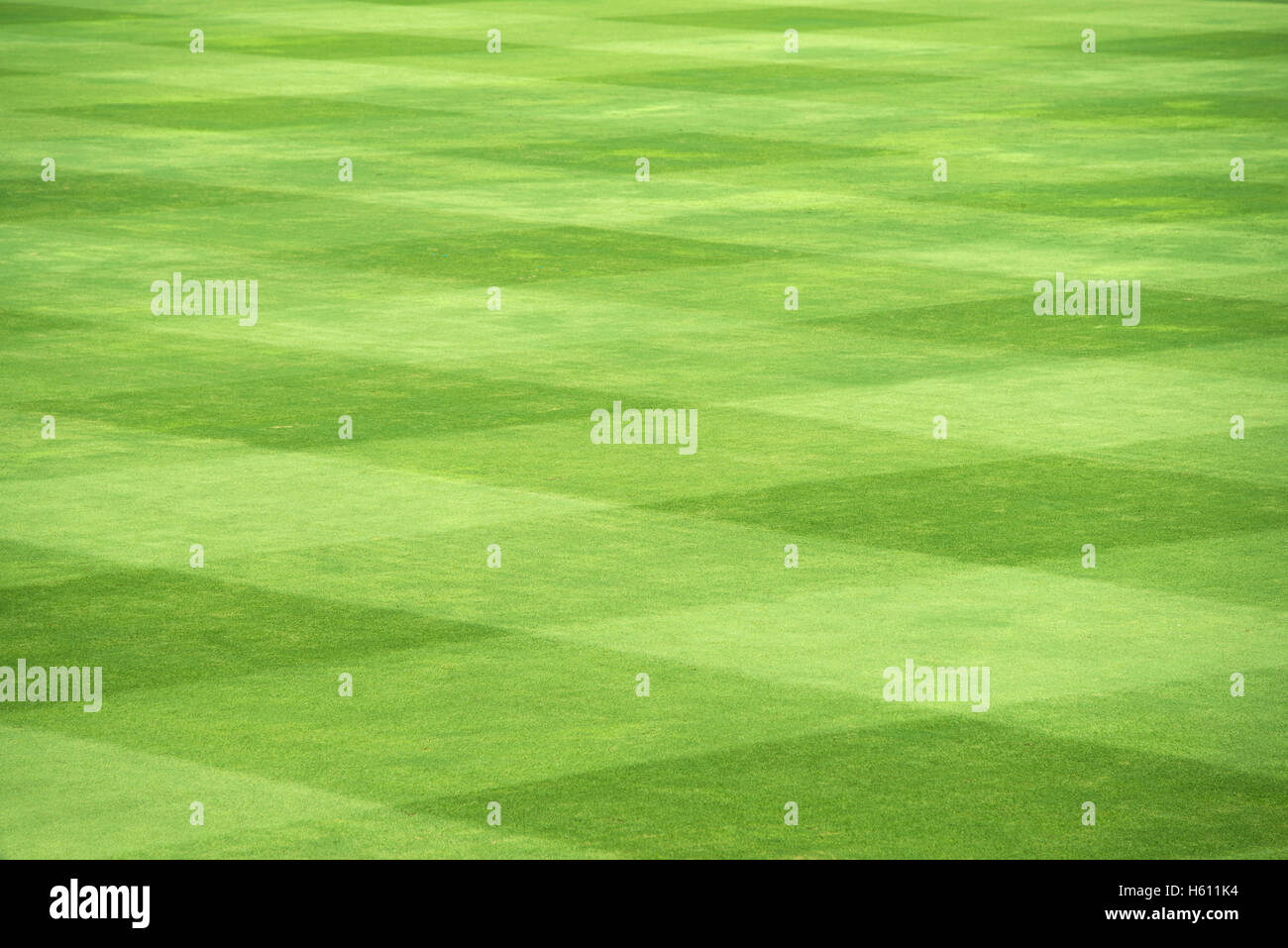 Texture grass field hi-res stock photography and images - Alamy