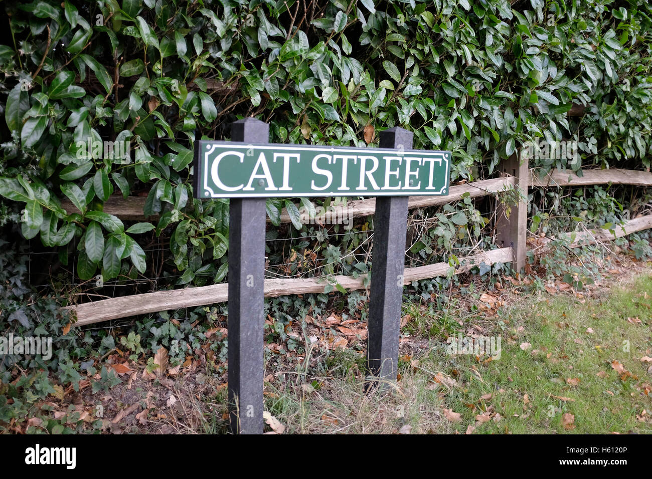 Road signs street names in hi-res stock photography and images - Alamy