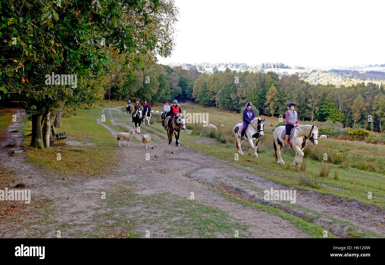 Trail riders uk hi-res stock photography and images - Alamy